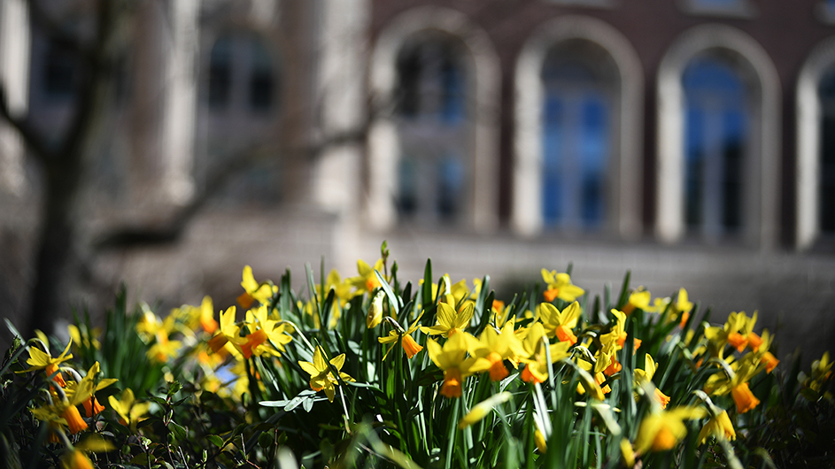 April Flowers | Columbia News