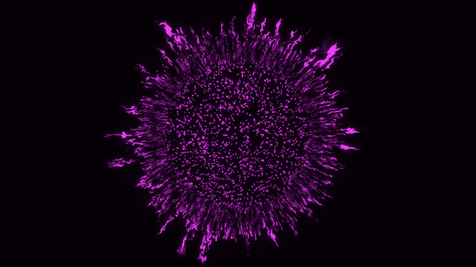 New Research Shows That the Arrangement of Bacteria in Biofilms Affects ...