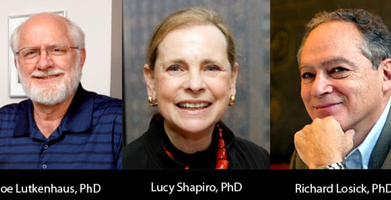 Horwitz Prize Awarded for the Discovery of Bacterial Cell Structure ...