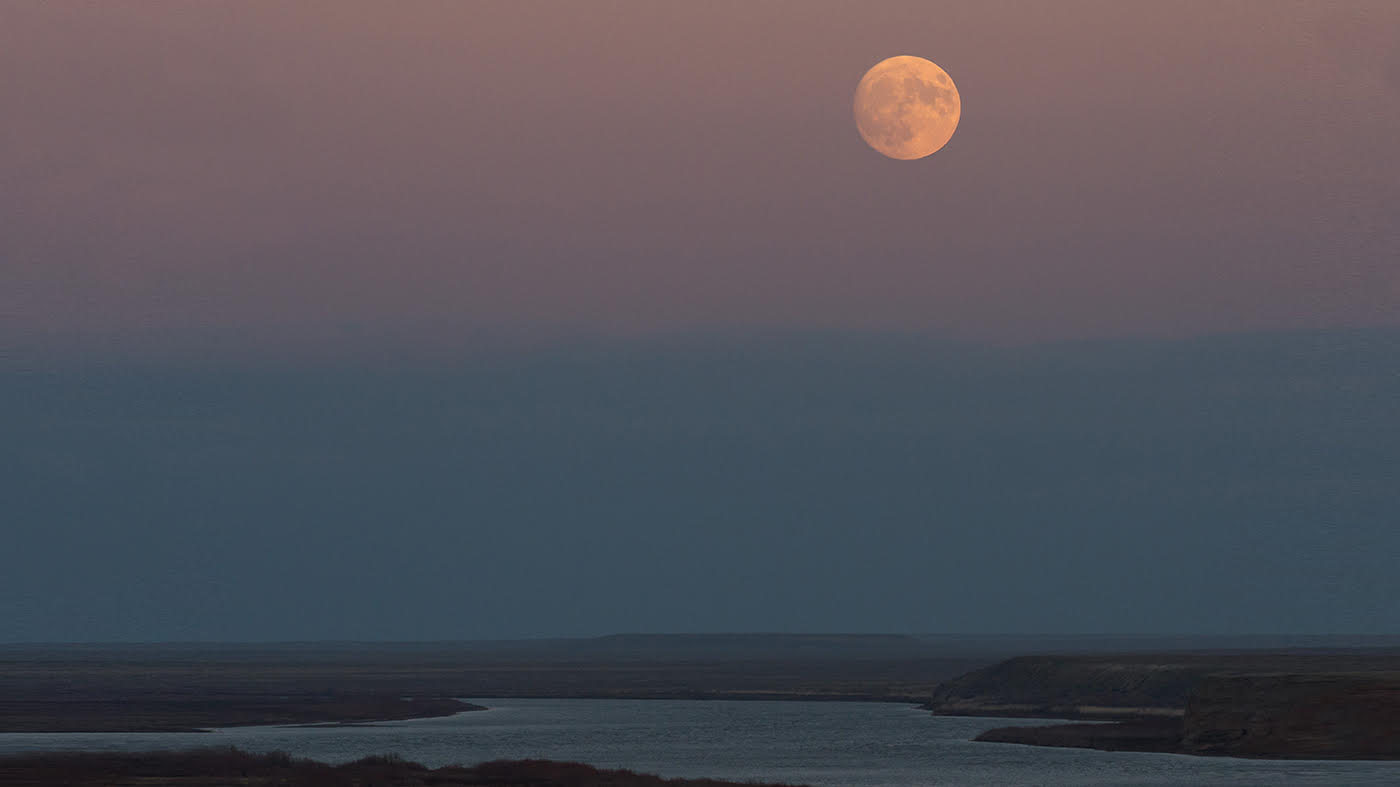 The Moon (In Celebration of the 50th Anniversary of the Lunar Landing ...