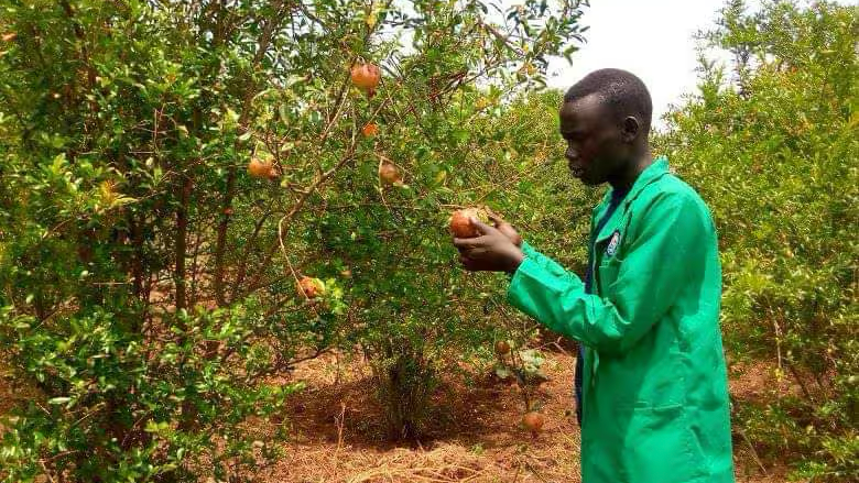 Columbia Graduation 2025 | Columbia News